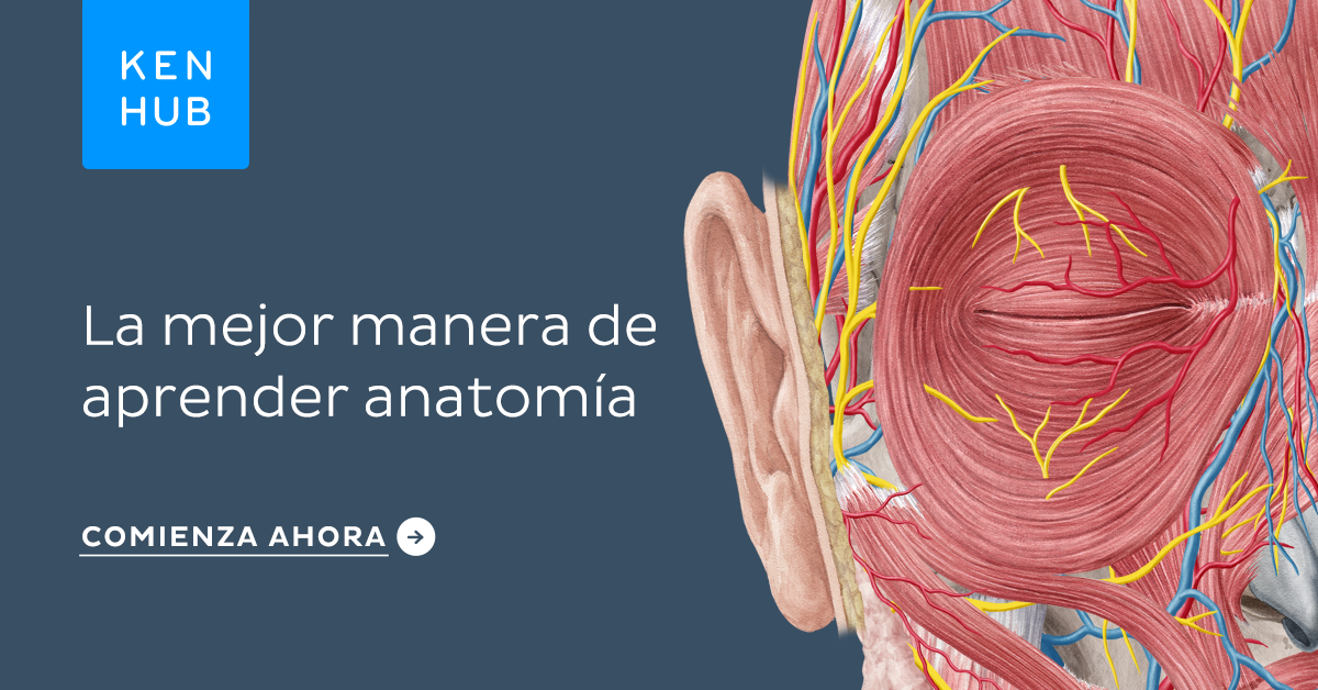 Cómo enseñar anatomía con Kenhub: La historia de Eric | Kenhub