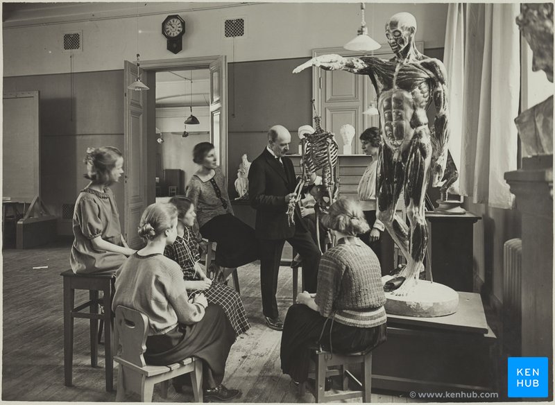 Dissecação humana: relevância para o ensino de anatomia | Kenhub