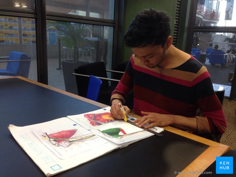 How to create your own anatomy and physiology poster | Kenhub