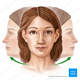 Trapezius muscle: Anatomy, origins, insertions, actions | Kenhub