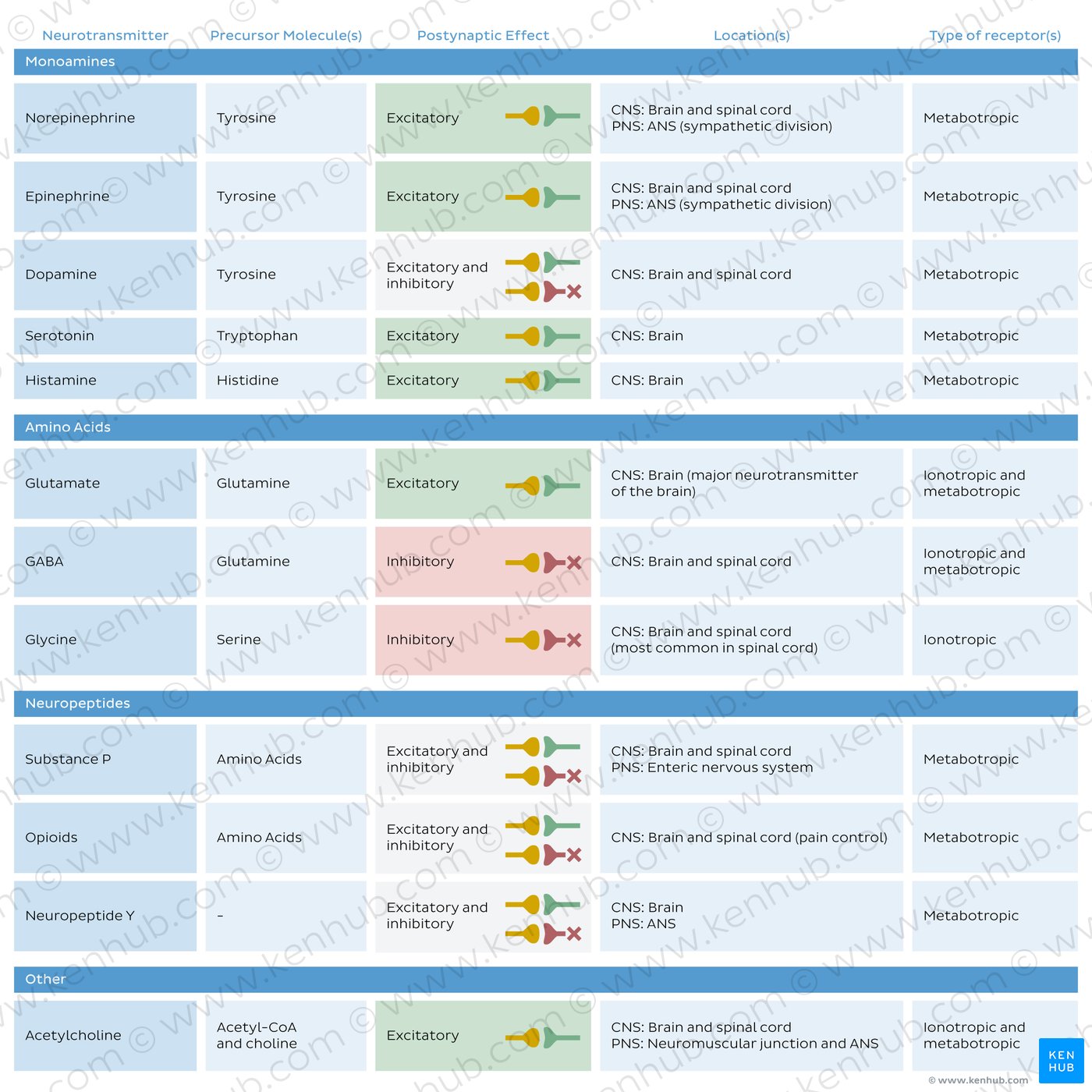 Neurotransmitters: Types, functions and disorders | Kenhub