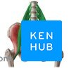 Musculus psoas major: Anatomie, Funktion und Klinik | Kenhub