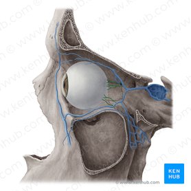Ciliary body: anatomy and function | Kenhub
