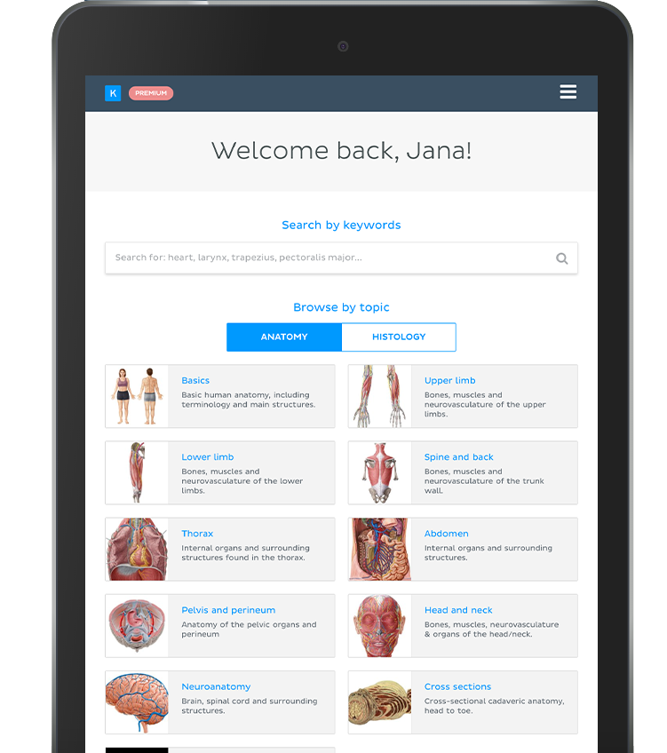 Human anatomy flashcards: Your revision essential | Kenhub