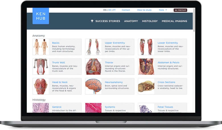 Review and practice human anatomy the smart way | Kenhub