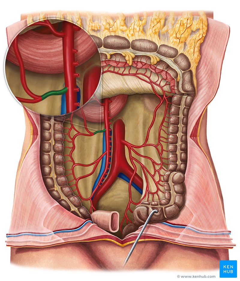 right colic flexure surface marking