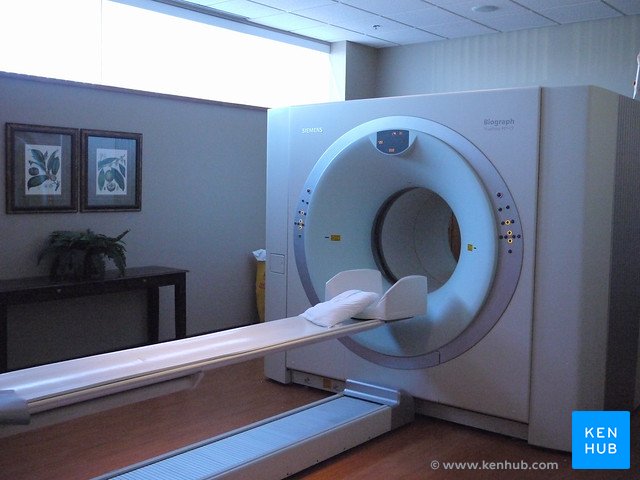 Anatomische Diagnostik: Computertomographie | Kenhub