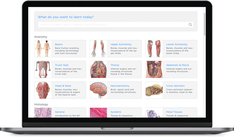 Learn anatomy with expert-created video tutorials | Kenhub