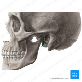 Schädel - Anatomie, Aufbau und Schädelknochen | Kenhub