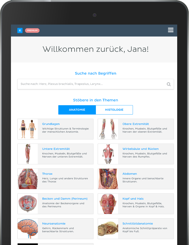 Anatomie für Physiotherapie lernen - einfach mit Kenhub | Kenhub