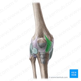 How to read the normal knee MRI | Kenhub