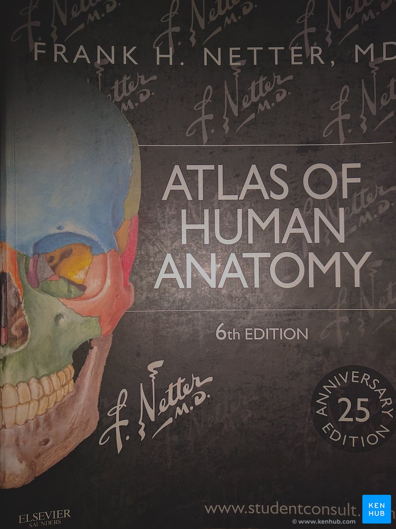Atlas d'anatomie humaine de Frank Netter : Notre avis | Kenhub