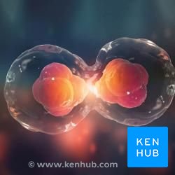 I want to cancel my Premium subscription | Kenhub