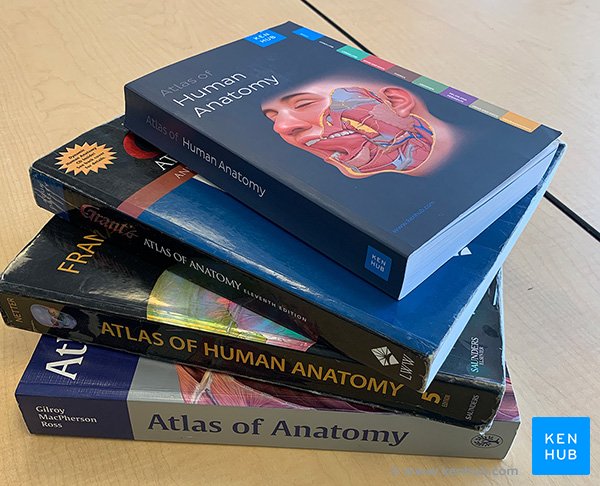 How to choose the best anatomy atlas: Tips for success | Kenhub