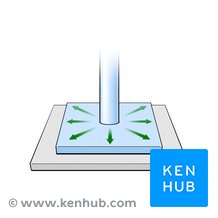 Plane joint: Anatomy and function | Kenhub