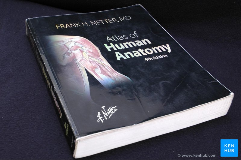 Netter S Anatomy Atlas Netter's Atlas Of Human Anatomy, 7th Edition