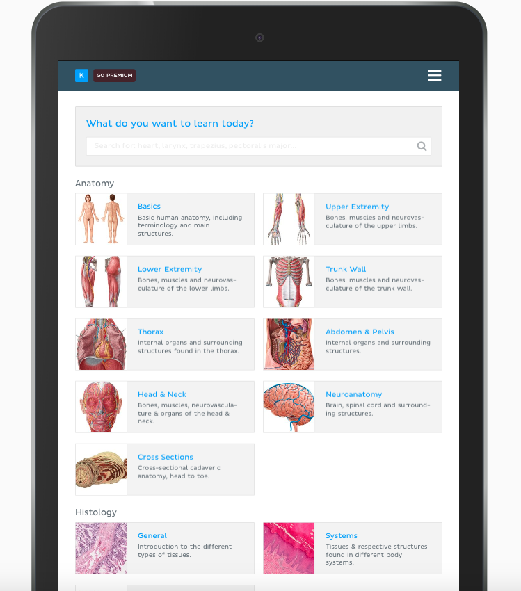 Online human anatomy courses and classes | Kenhub